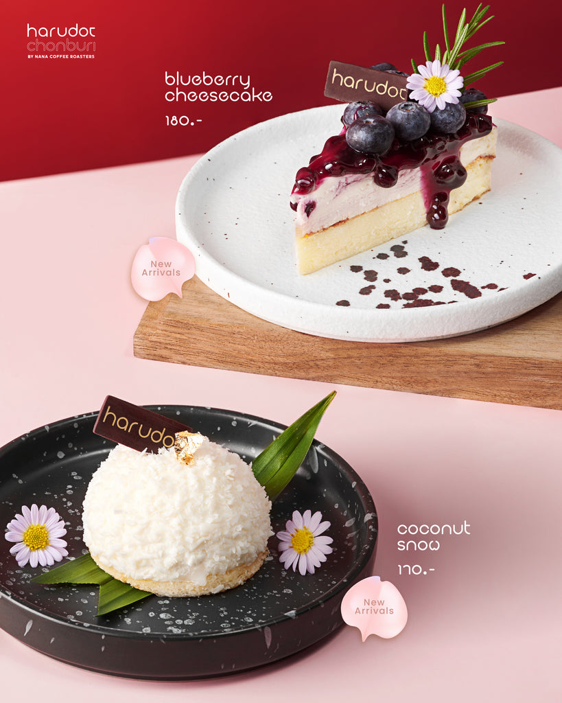 Harudot Chonburi Menu – NaNa Coffee Roasters